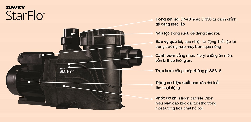 Máy bơm hồ bơi, bơm lọc nước Davey StarFlo DSF300 750W 220V | Thuận Hiệp Thành